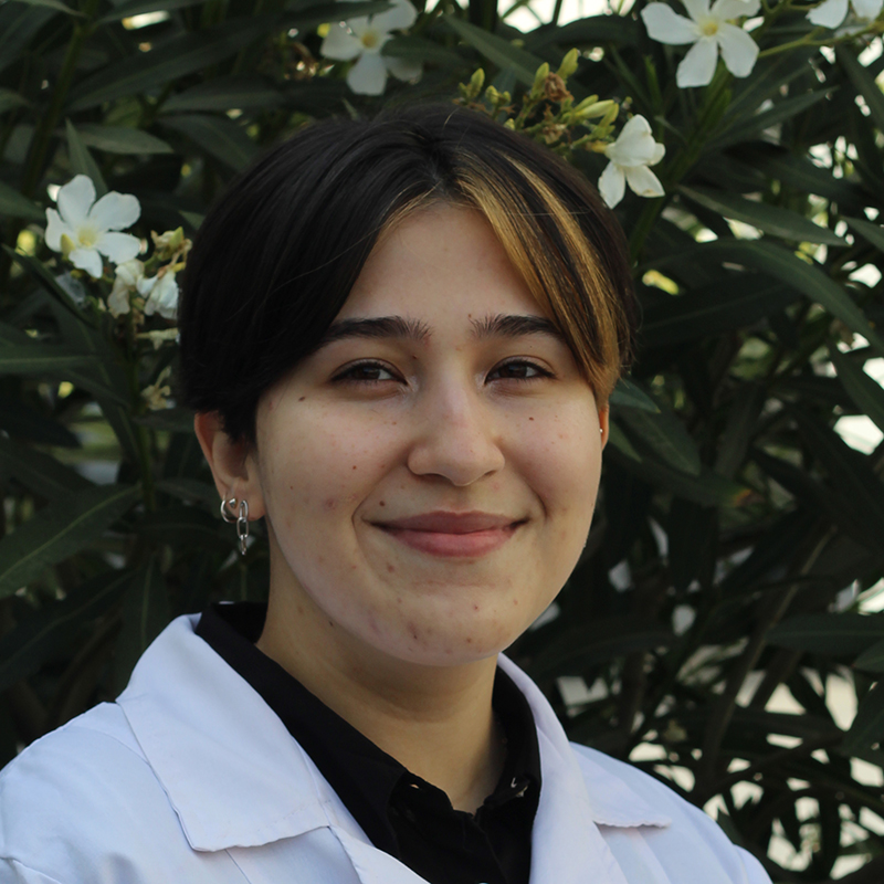 Quiénes somos – Aitem